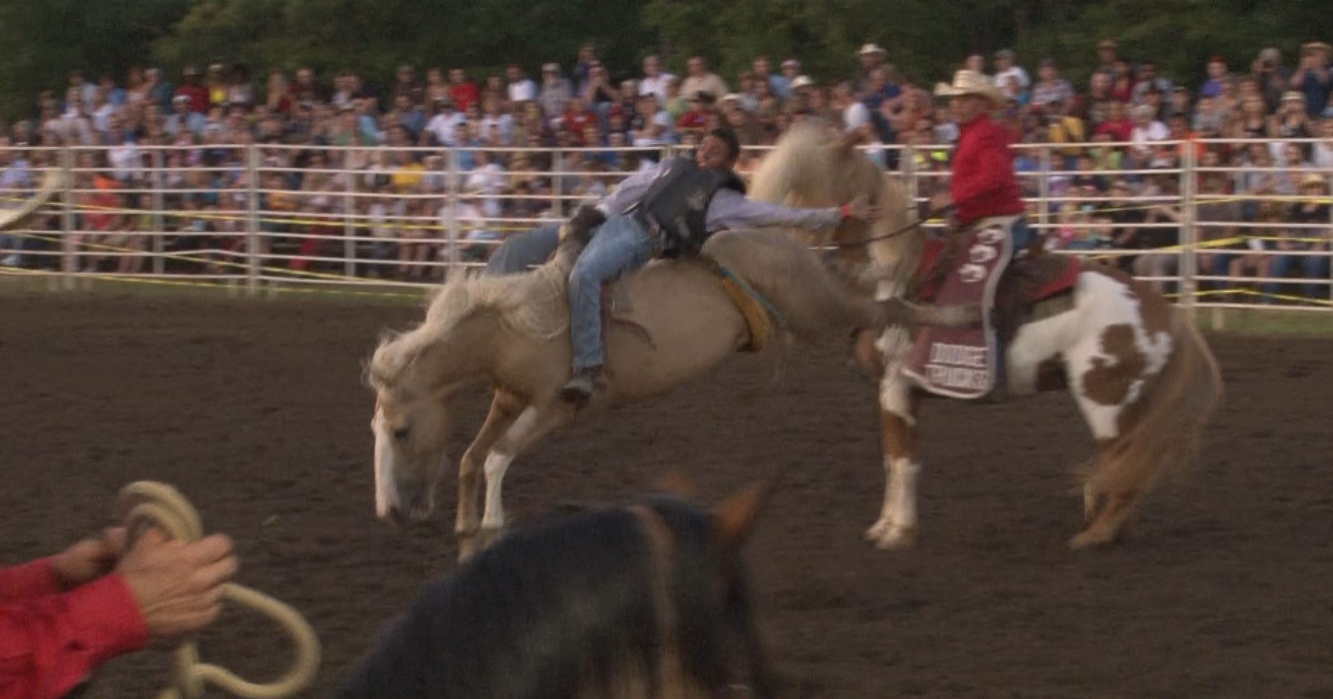 Friday Night At The Rodeo | wltx.com