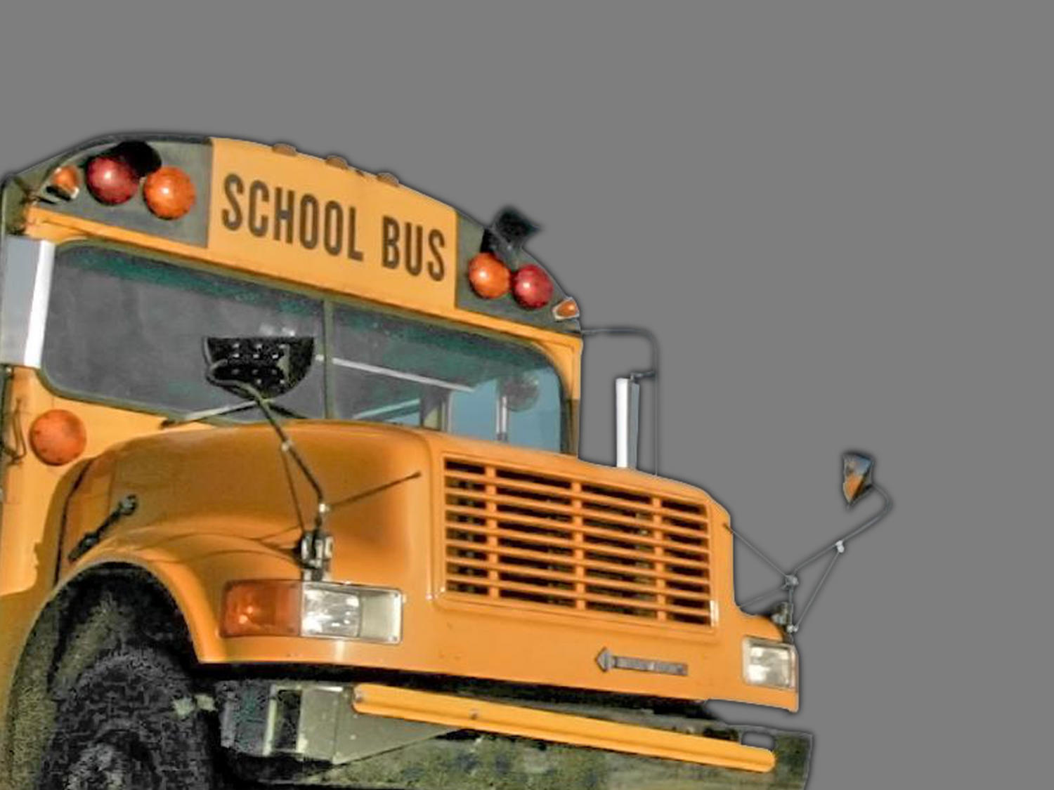 Bus Driver Leaves Sick Child on Side of Road | wltx.com