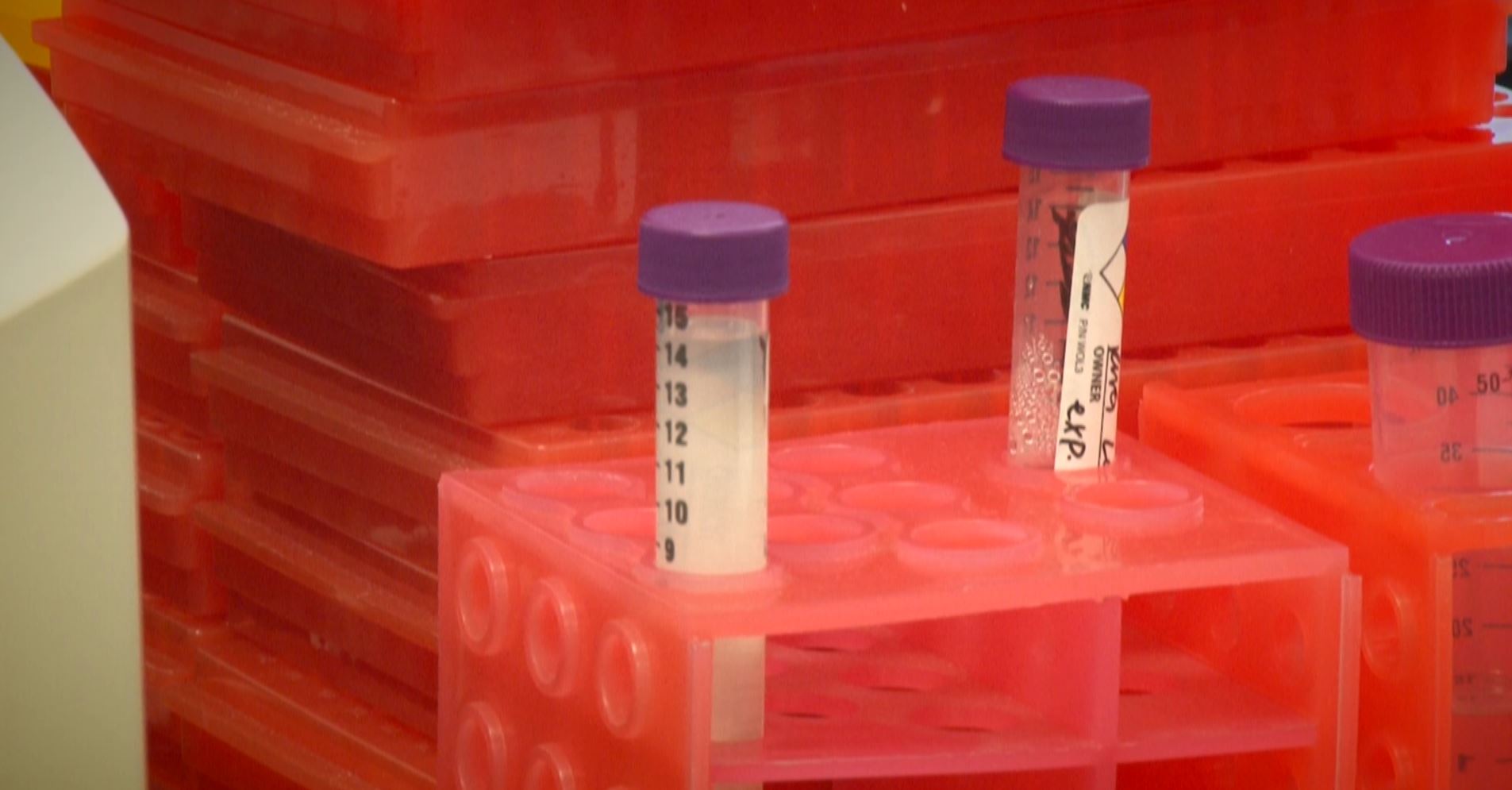 Columbia Drug Lab Could Merge With Richland County | wltx.com