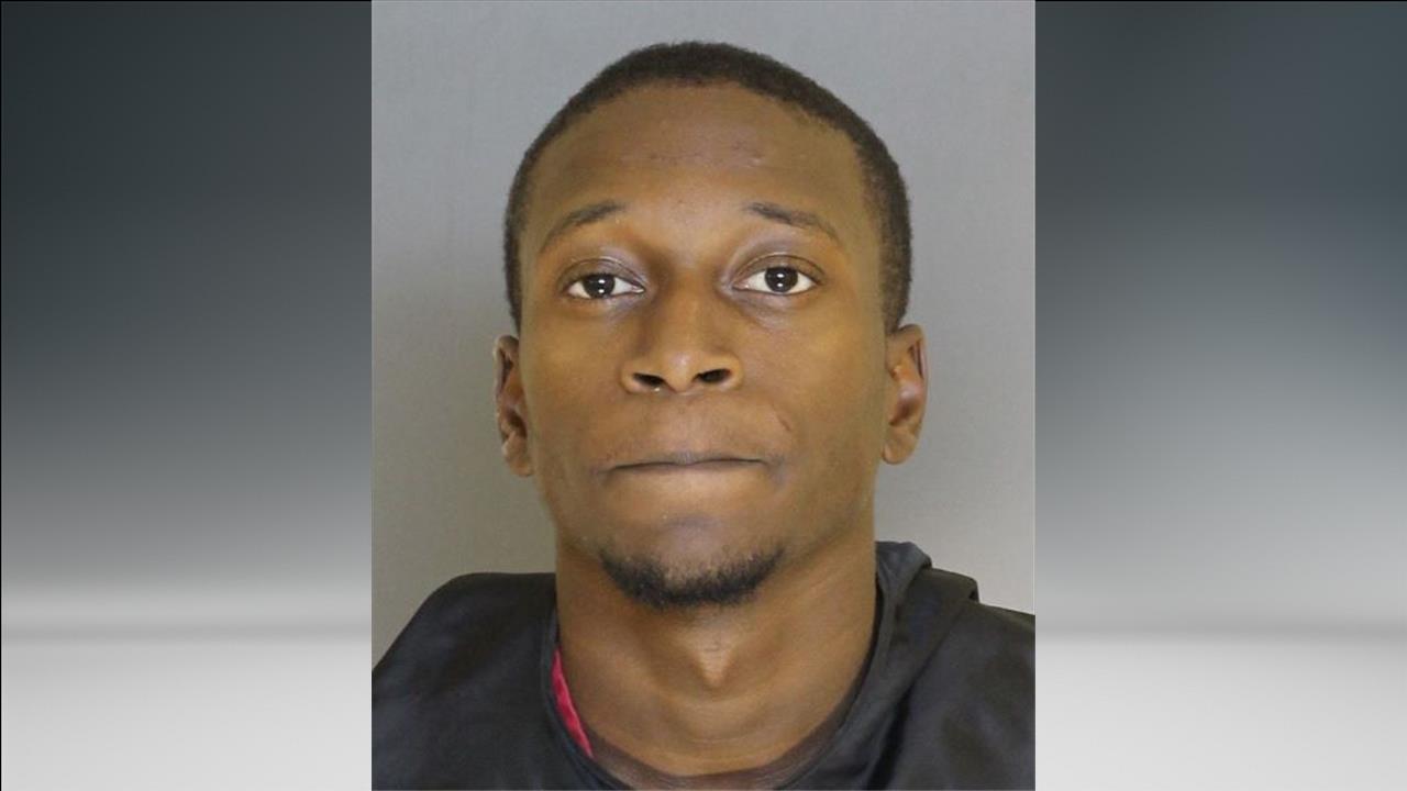 Driver Accused of Trying to Hit Officers Arrested | wltx.com