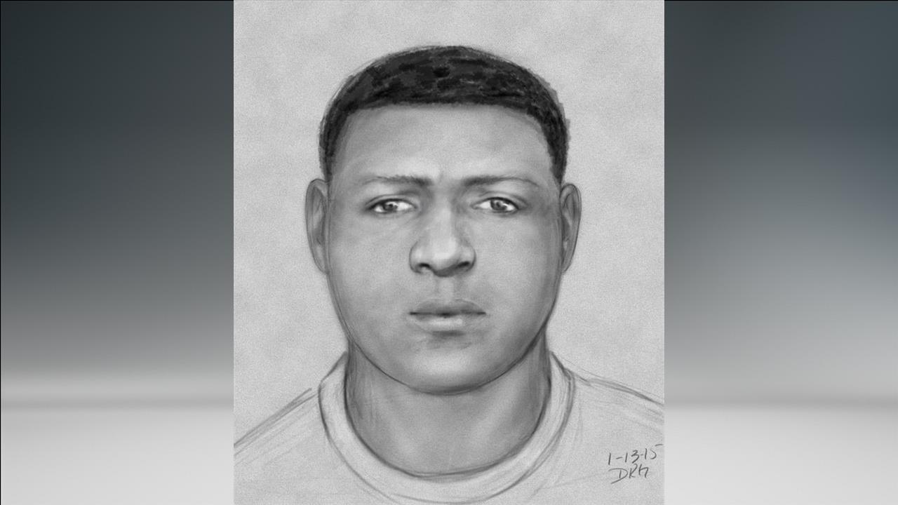 Sketch Released of Attempted Child Kidnapping Suspect | wltx.com