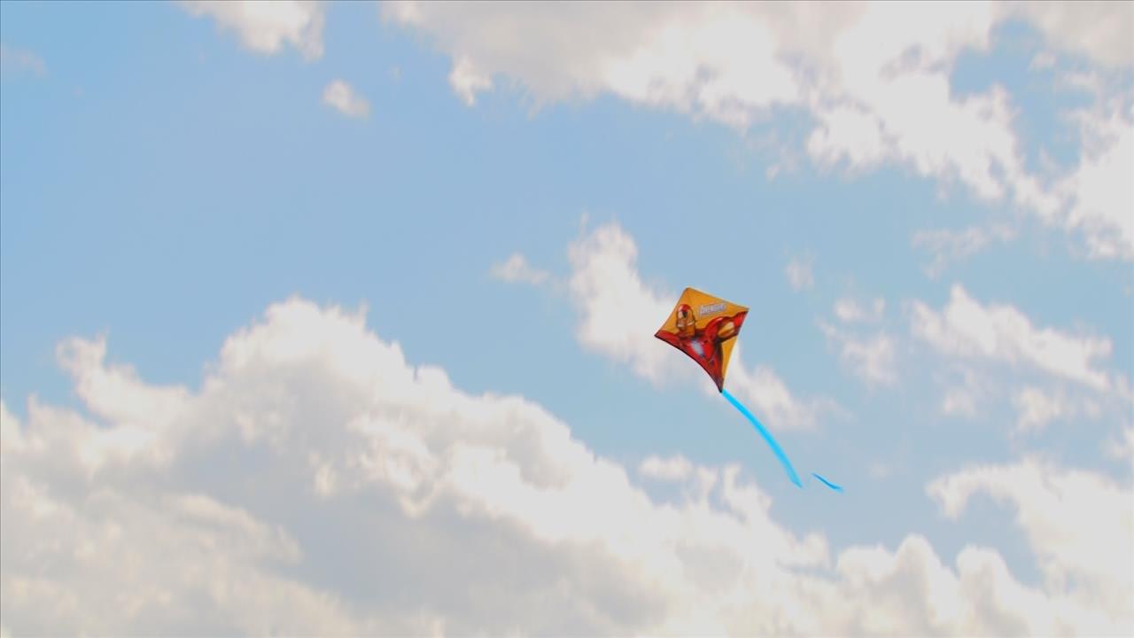 Festival Puts Kites High In The Sky | wltx.com