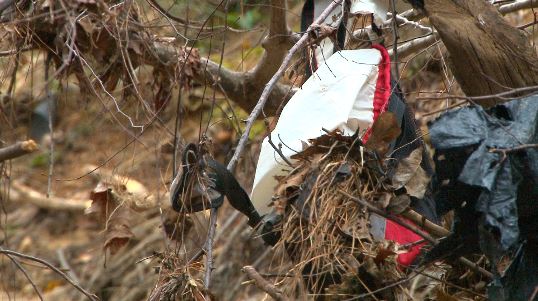 Leftover Flood Trash More Than an Eyesore | wltx.com
