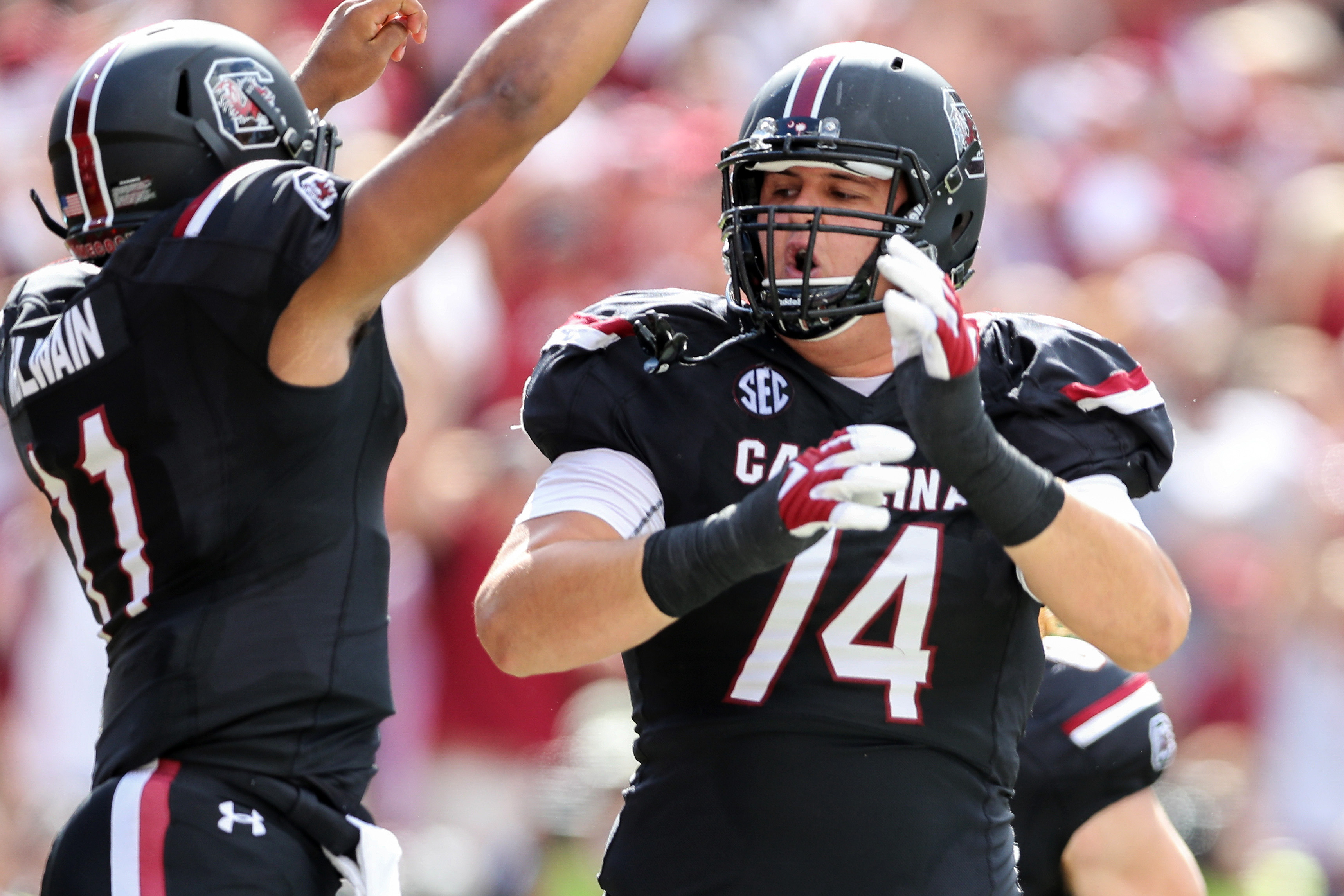 Gamecocks Win First Home Opener Since '13 | wltx.com