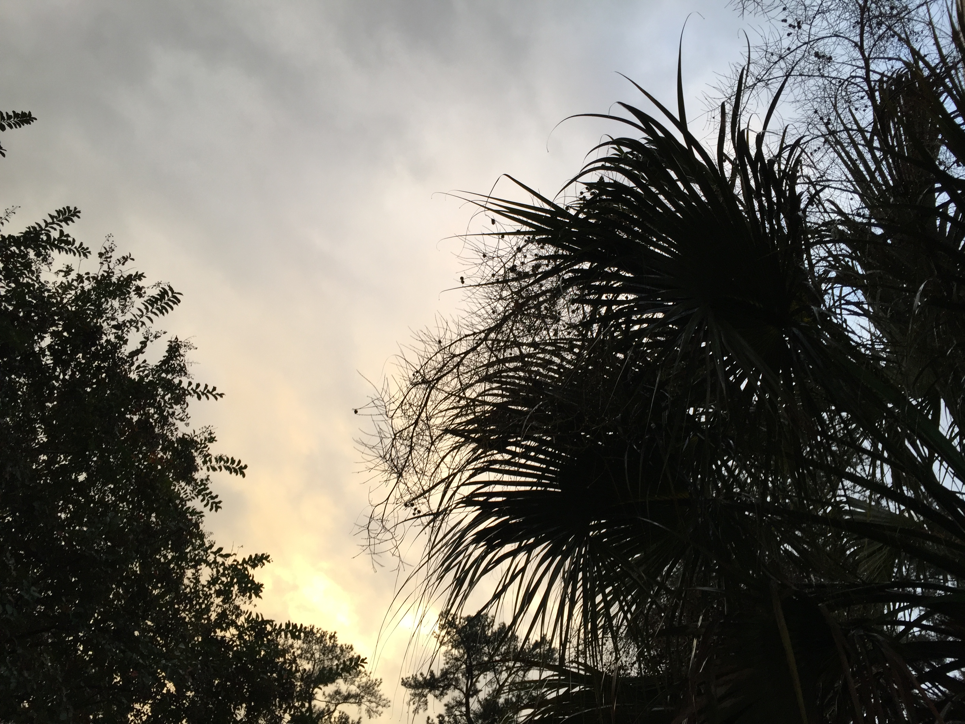 Mostly Cloudy and Warm Monday | wltx.com