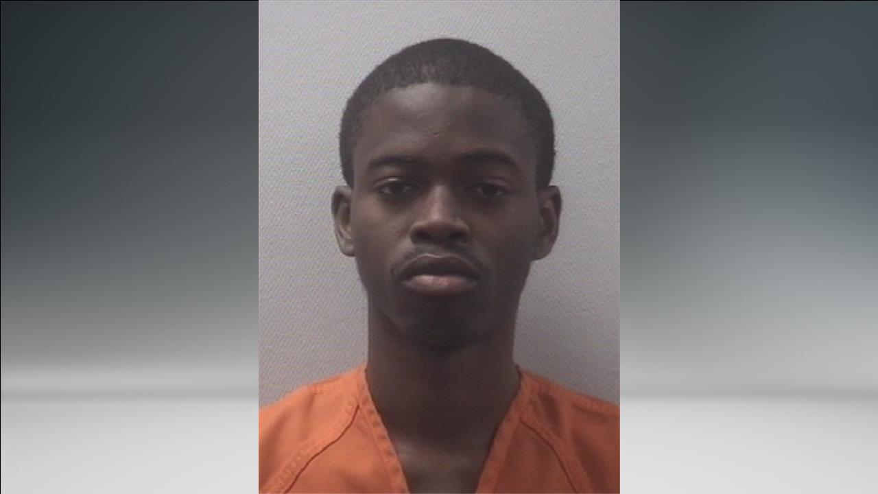 Man Accused of Burning, Killing Puppy Arrested | wltx.com