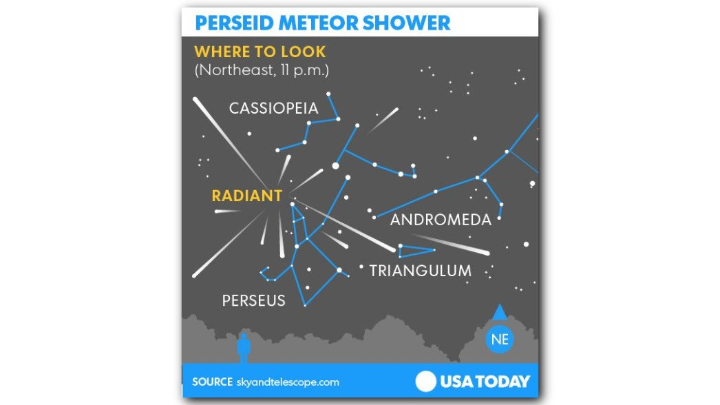 Perseid Meteor Shower Coming Soon to a Sky Near You | wltx.com
