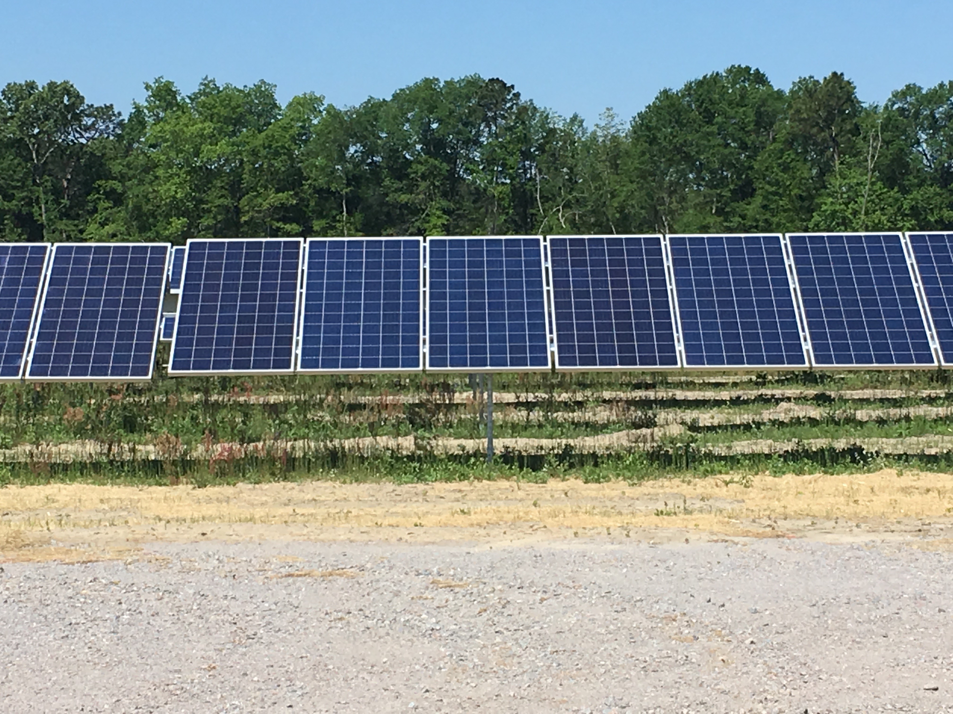 Future Solar Farms On Hold Following Rate Cut | wltx.com
